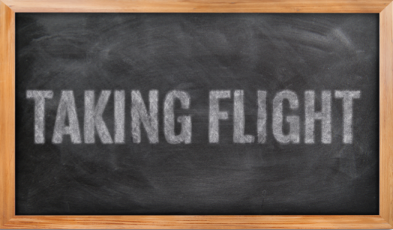 Taking Flight | Crew Training International